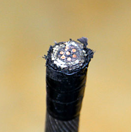 Division of Marine and Large Programs | Technology